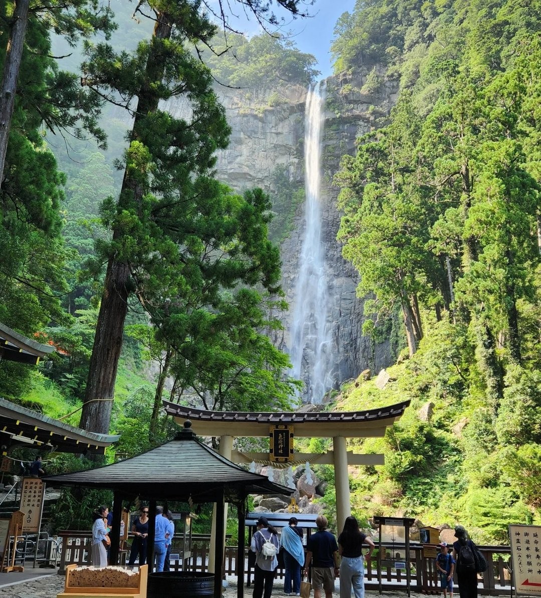 Complete Guide to Kumano Nachi Taisha and Nachi Falls