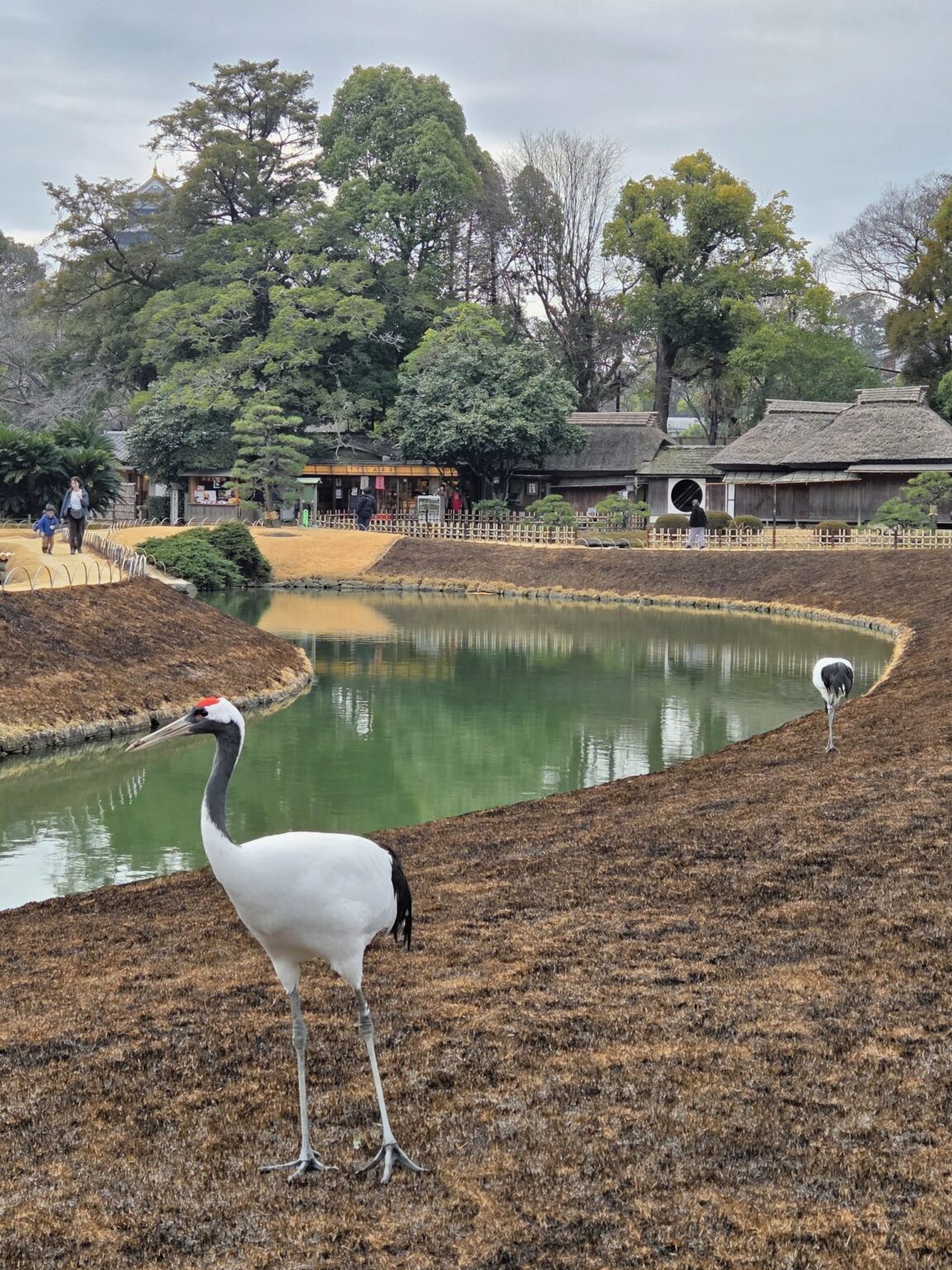 Okayama Korakuen Garden: The Most Photogenic Spot in Okayama ...