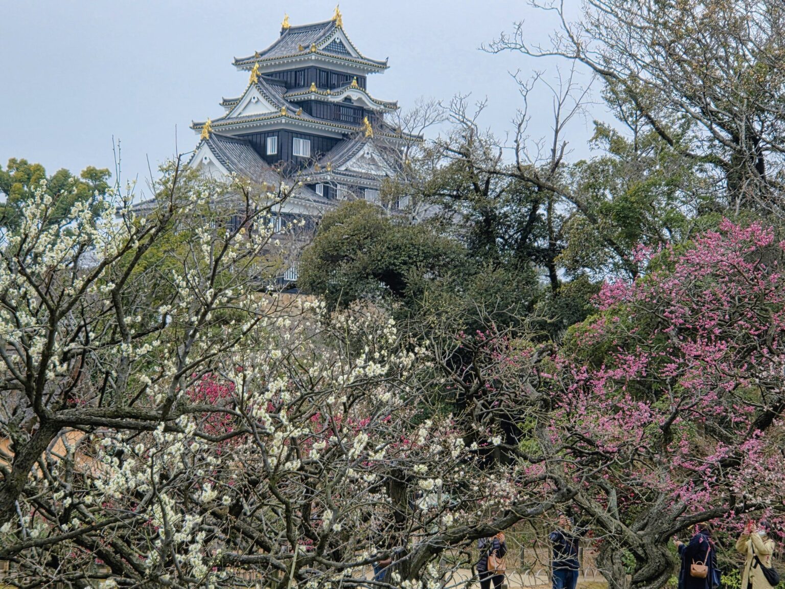 Okayama Korakuen Garden: The Most Photogenic Spot in Okayama ...