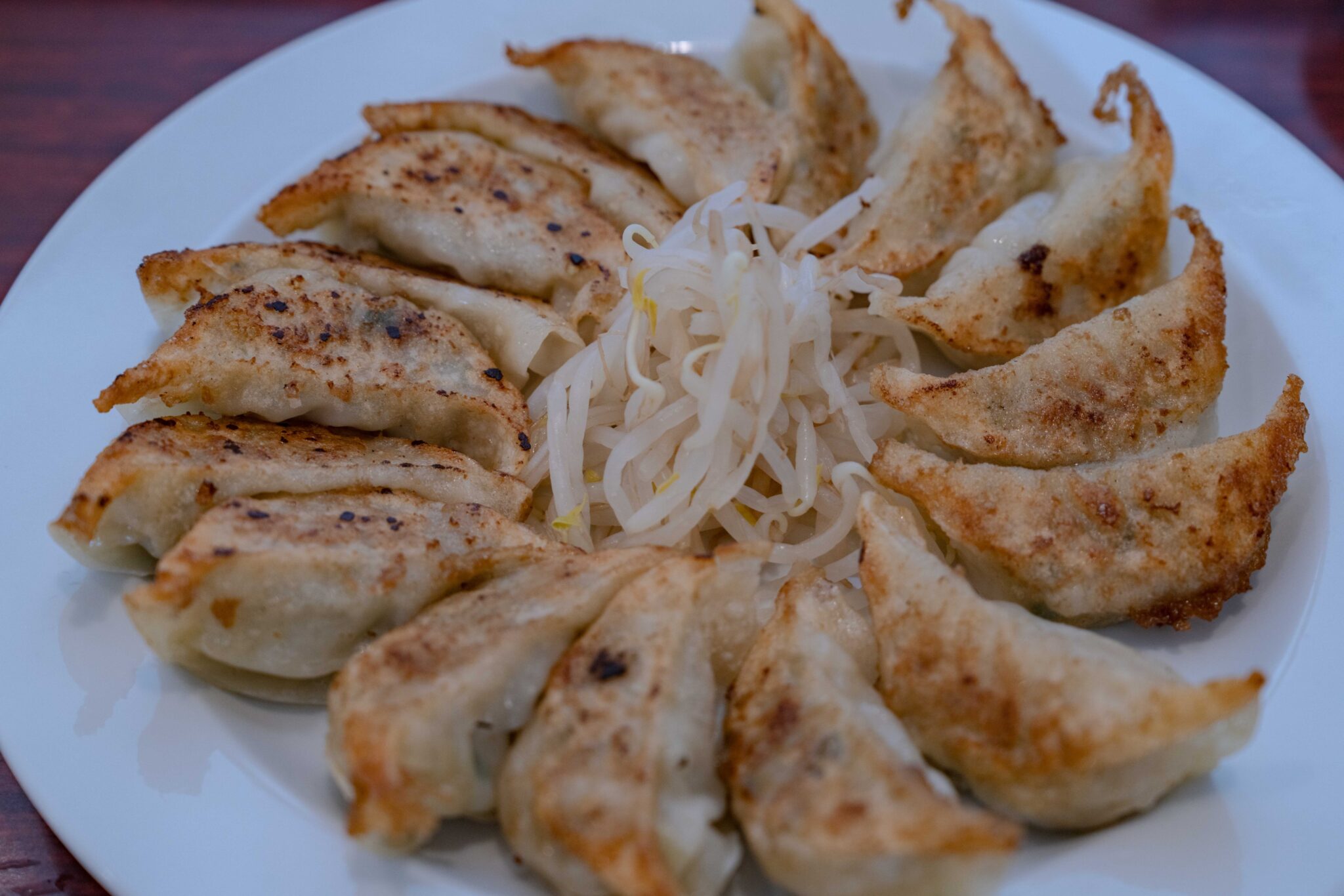 Japanese Gyoza Explained: Why They’re Crispy & Where to Eat Them