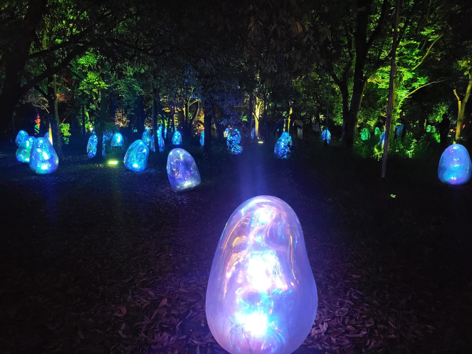Ultimate Guide to teamLab in Japan_ | Tabimania Japan
