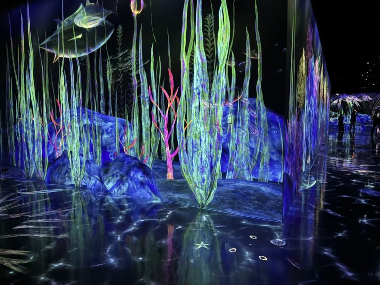 The Ultimate Guide to teamLab in Japan (2026): All Permanent Locations ...