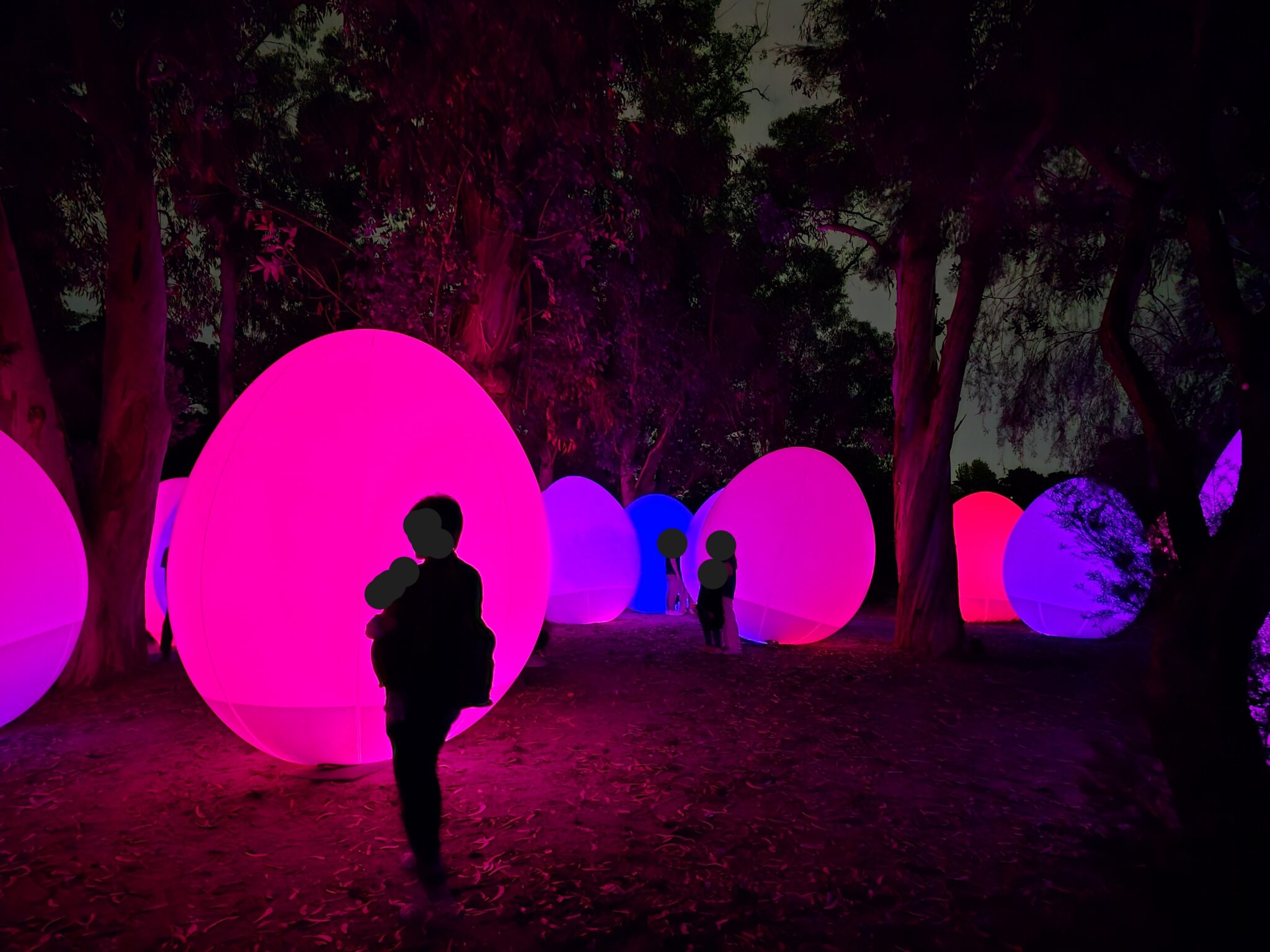 The Ultimate Guide to teamLab in Japan (2026): All Permanent Locations ...