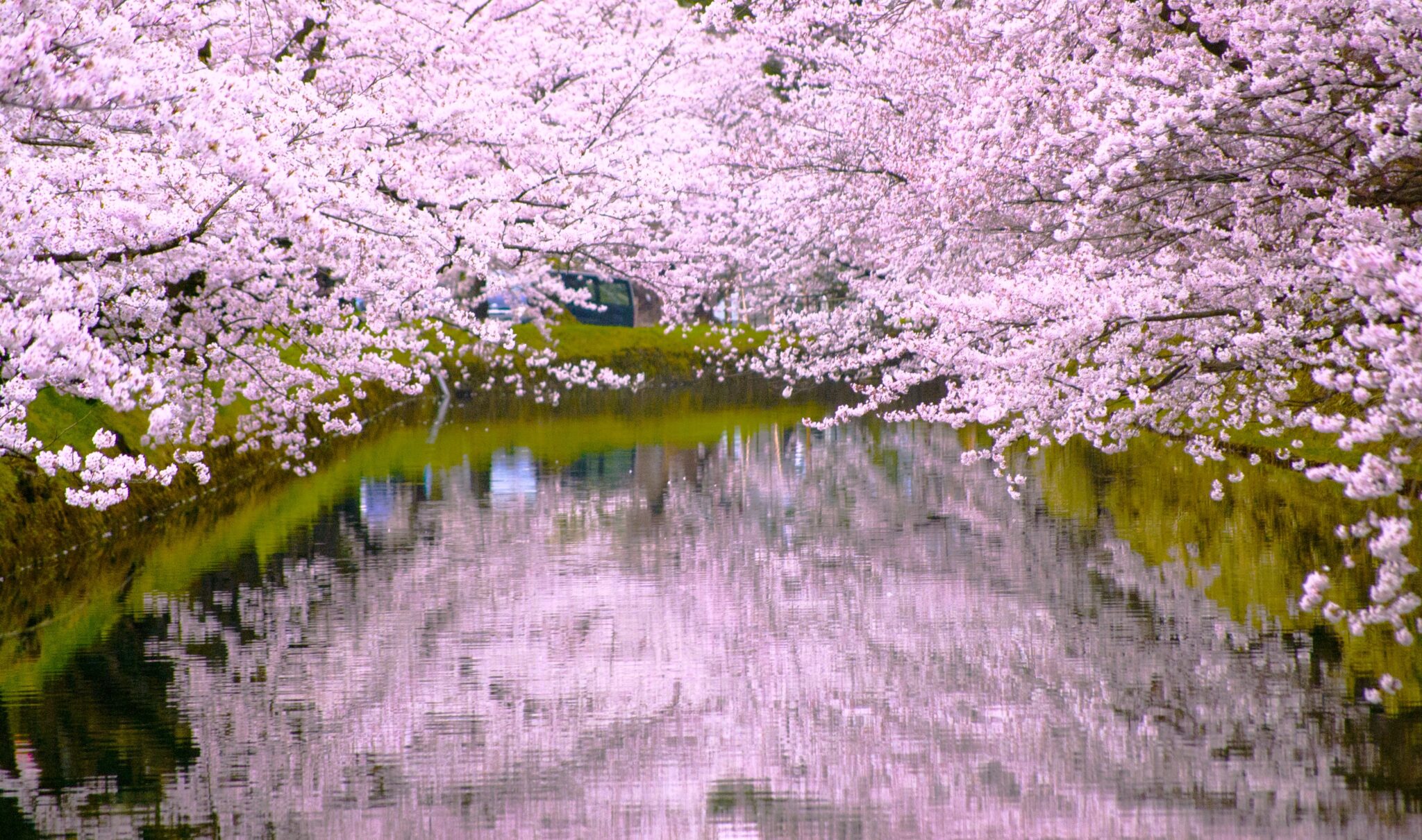 Japan Weather in April: What to Wear & Packing Guide