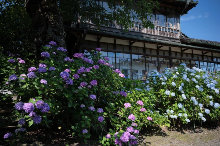 Japan Weather in June: What to Wear and Packing Guide