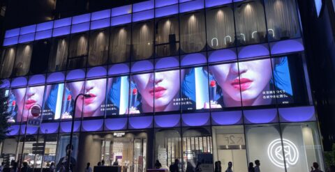 Hato Sablé: A Beloved Dove-Shaped Cookie from Kamakura