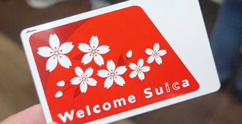 Japan Size Conversion Guide for Clothes and Shoes – Shopping Essential