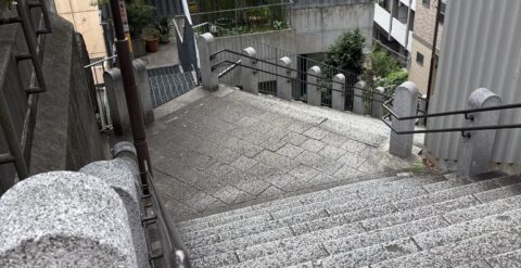 Hato Sablé: A Beloved Dove-Shaped Cookie from Kamakura